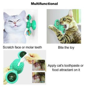 Cat's Fidget Spinner & Teeth Cleaner - 50% OFF Today Only – Pets ...